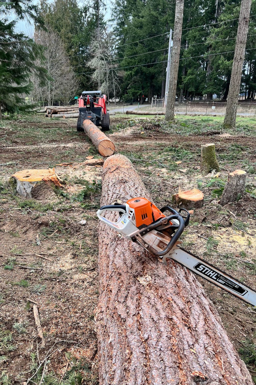 Tree Service | Tree Removal | Excavation | Olympia, WA